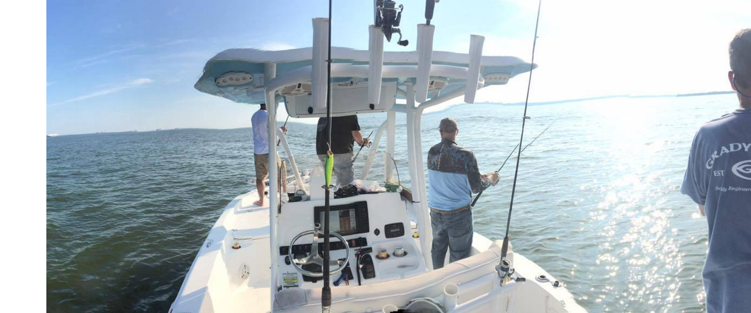 A typical Day – School of Rockfish