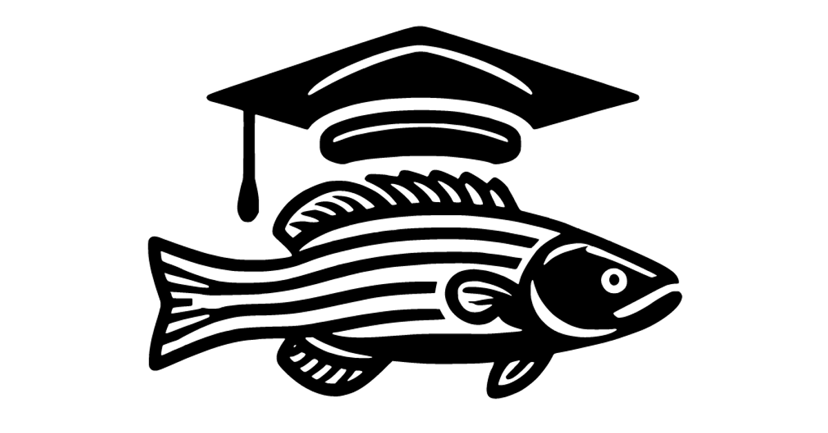 Gallery – School of Rockfish