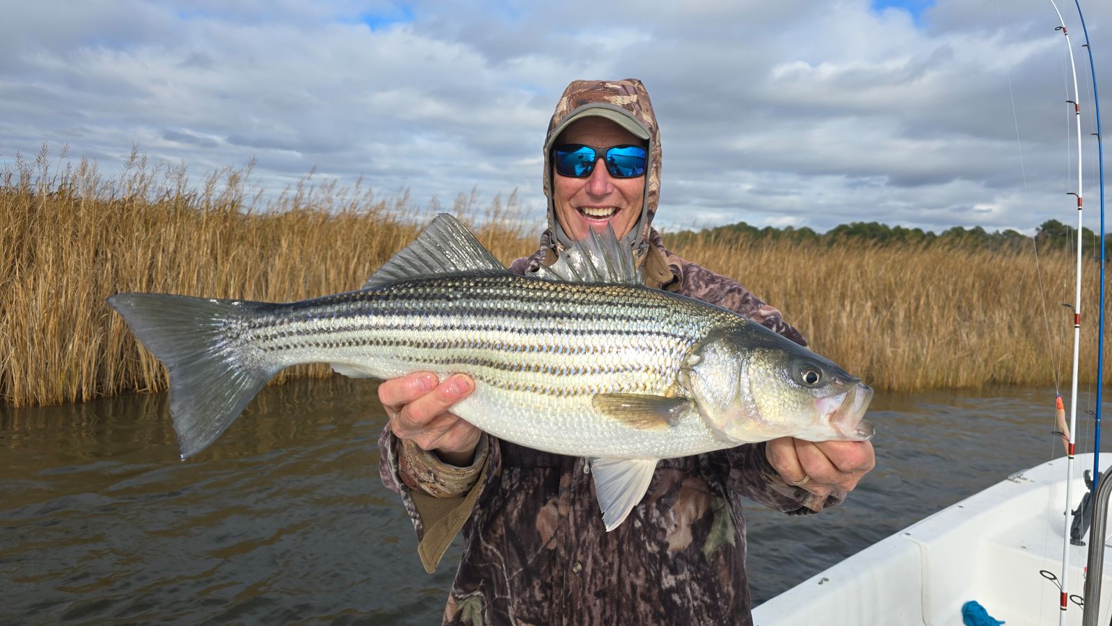 Gallery – School of Rockfish